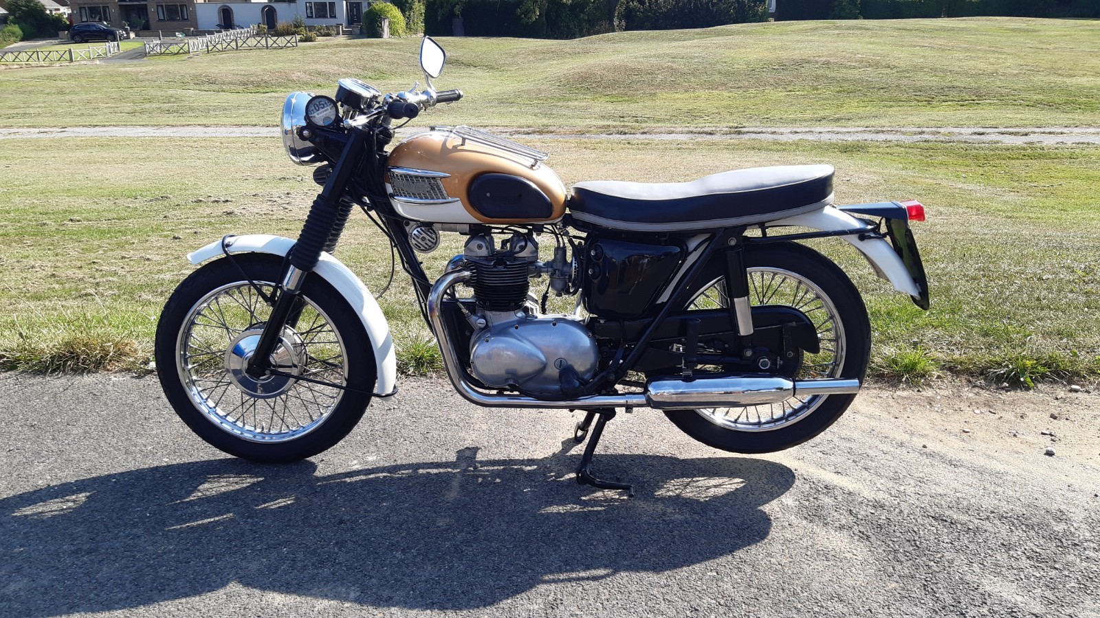 1965 Triumph Tiger 90 350 - Bike Years - 1960s