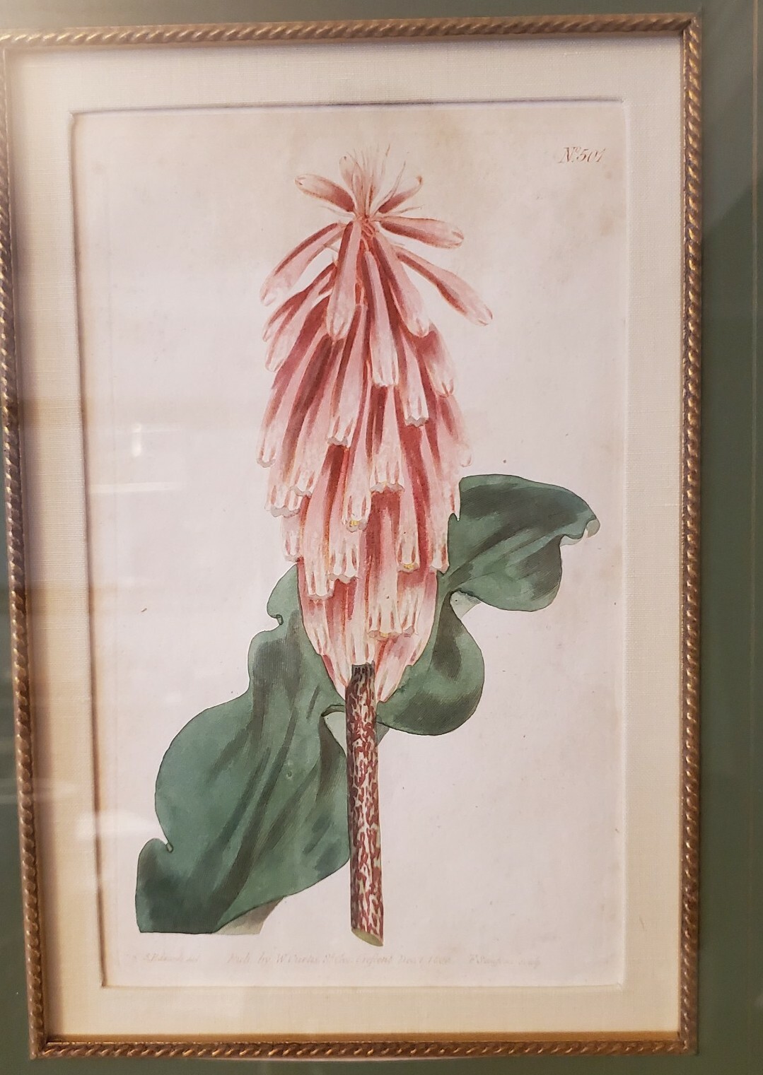 Syd Edwards Set of 2 Framed Colored Prints Published by T Curtis Circa ...