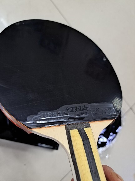 DHS 4002 Table Tennis Racket/Ping Pong Paddle, 4 star, two side pips-in ...
