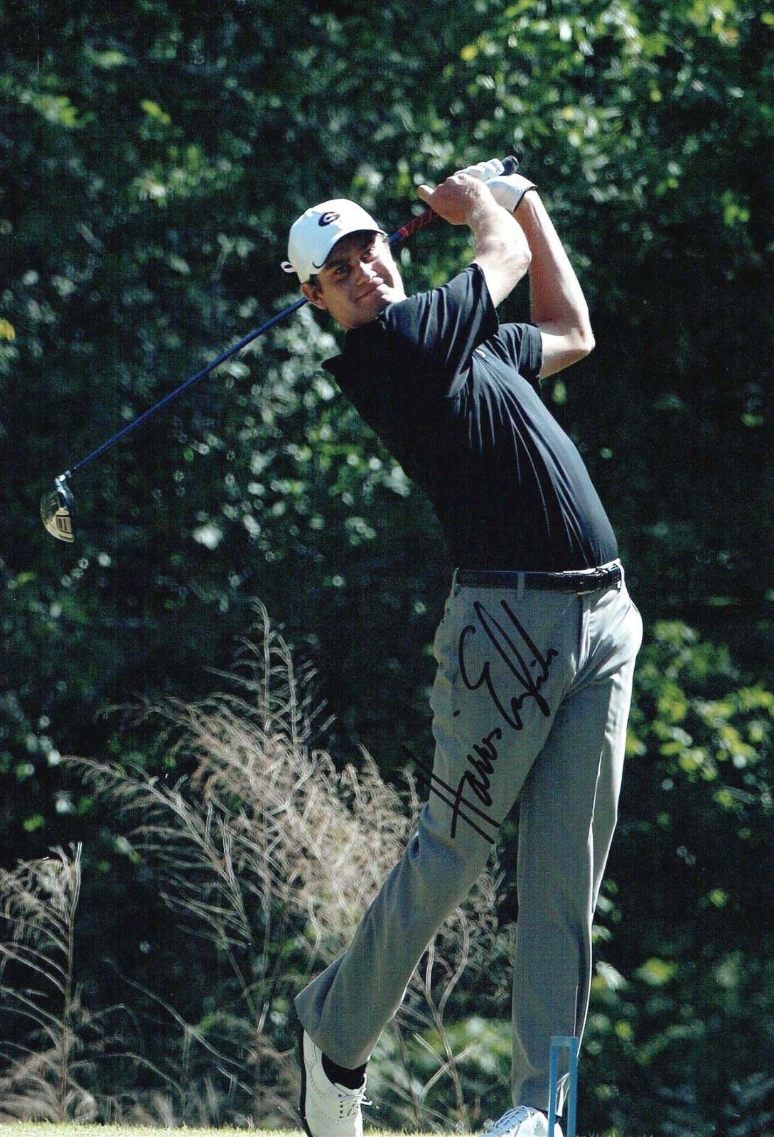 Harris ENGLISH SIGNED 12x8 Photo + Dealer COA US PGA Golf Golfer | eBay