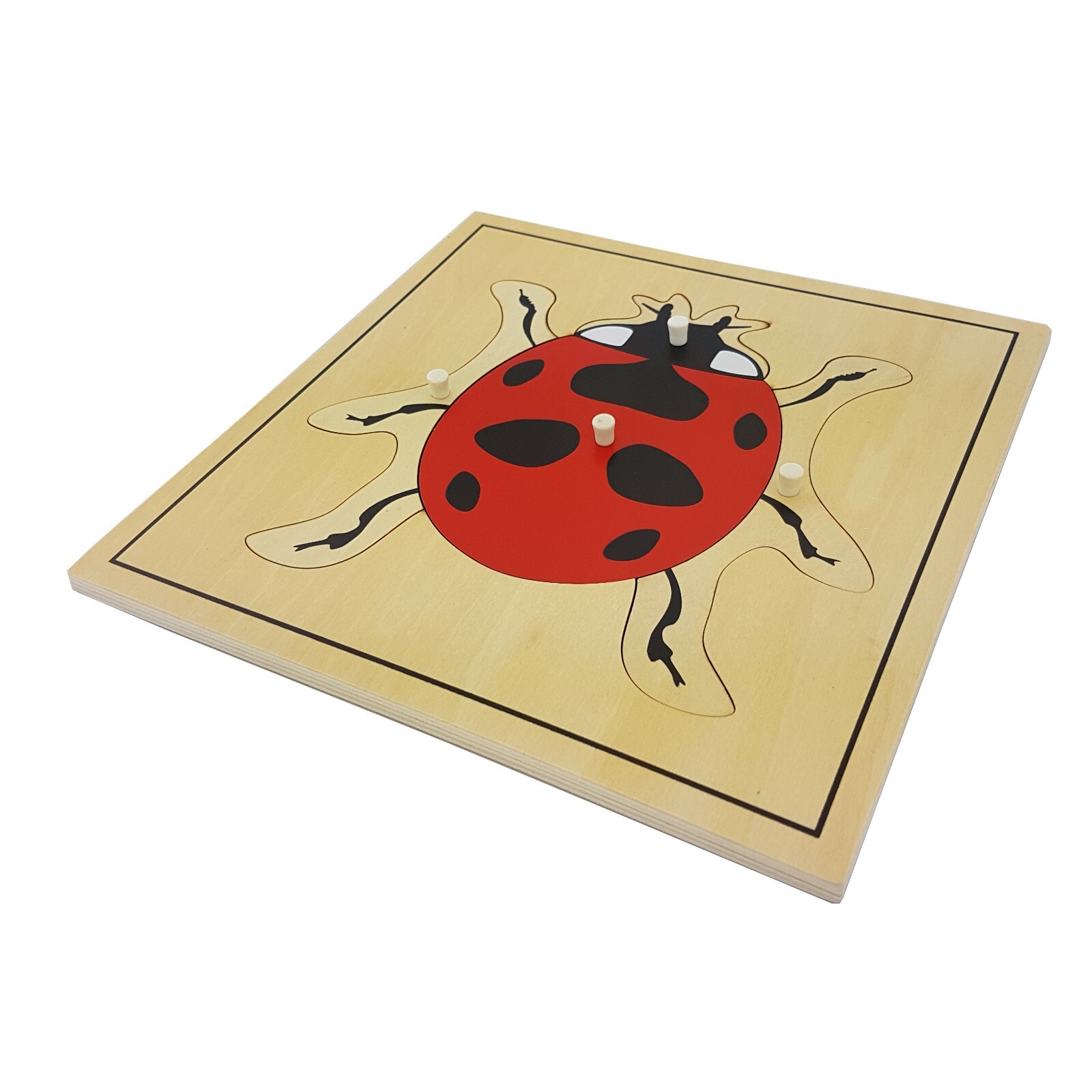 Ladybug Puzzle - MONTESSORI BIOLOGY / ZOOLOGY MATERIALS | eBay