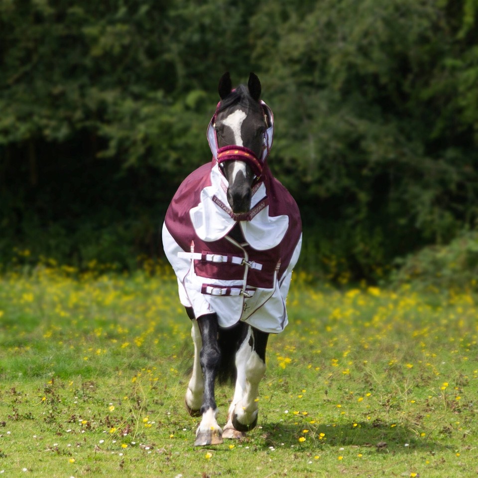 Gallop TROJAN Xtra Turnout Fly Rug, 1200 Denier, UV Protect, Fixed Neck ...