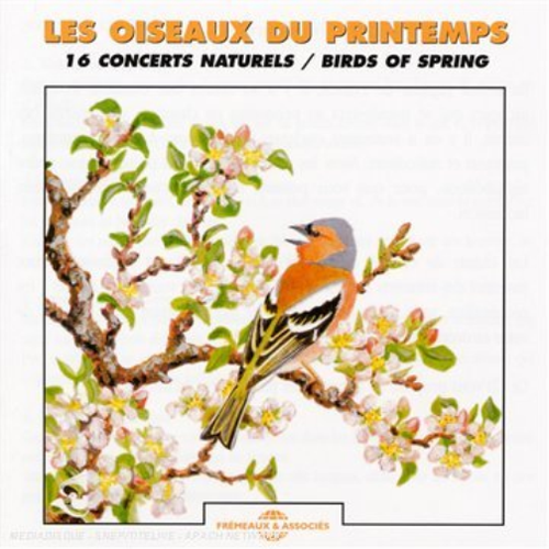 Birdsong Birds of Springtime (CD) Album (US IMPORT) 3448960261821 | eBay