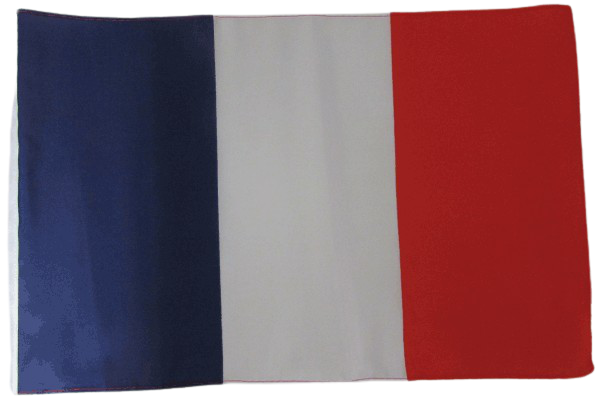 Courtesy Flag 1.5ft x 1ft Sleeved Polyester 180+ designs FREE P&P | eBay UK