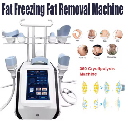 Fat Freezing Body Slimming Therapy Lipolysis Fat Removal Sculpt Spa ...