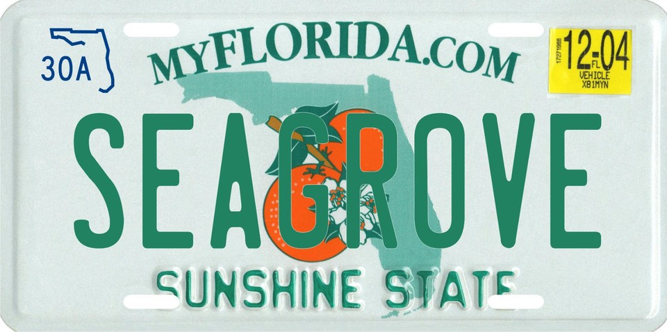 The Beaches of 30A Florida Metal License Plate - Choose from 20 Beach ...