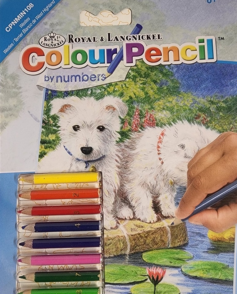 DIY Fish Dog Horse Kids Color by Number Kit 5X7 Bundle Lot | eBay