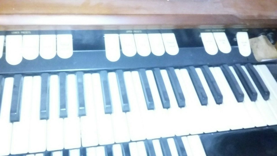 Hammond M Organ (Model M-143) with Bench | eBay