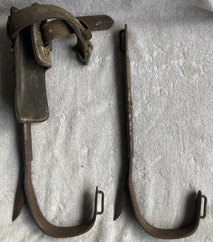 Vintage M. Klein & Sons 15.5” Pole Tree Climbing Gaffs Spikes Spurs WM ...