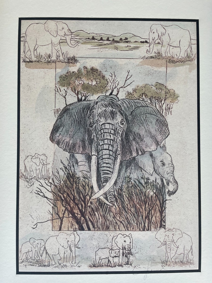 Elephant Drawing Color