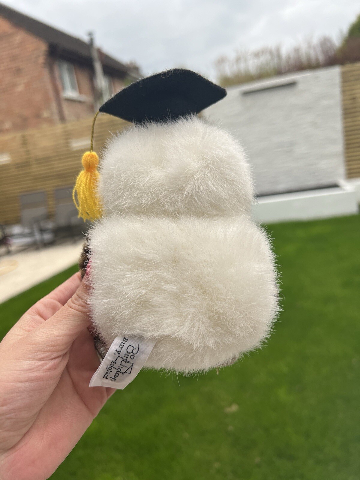 Graduation Teddy Owl With Hat Gift Sentimental Birthdays Bury, England ...