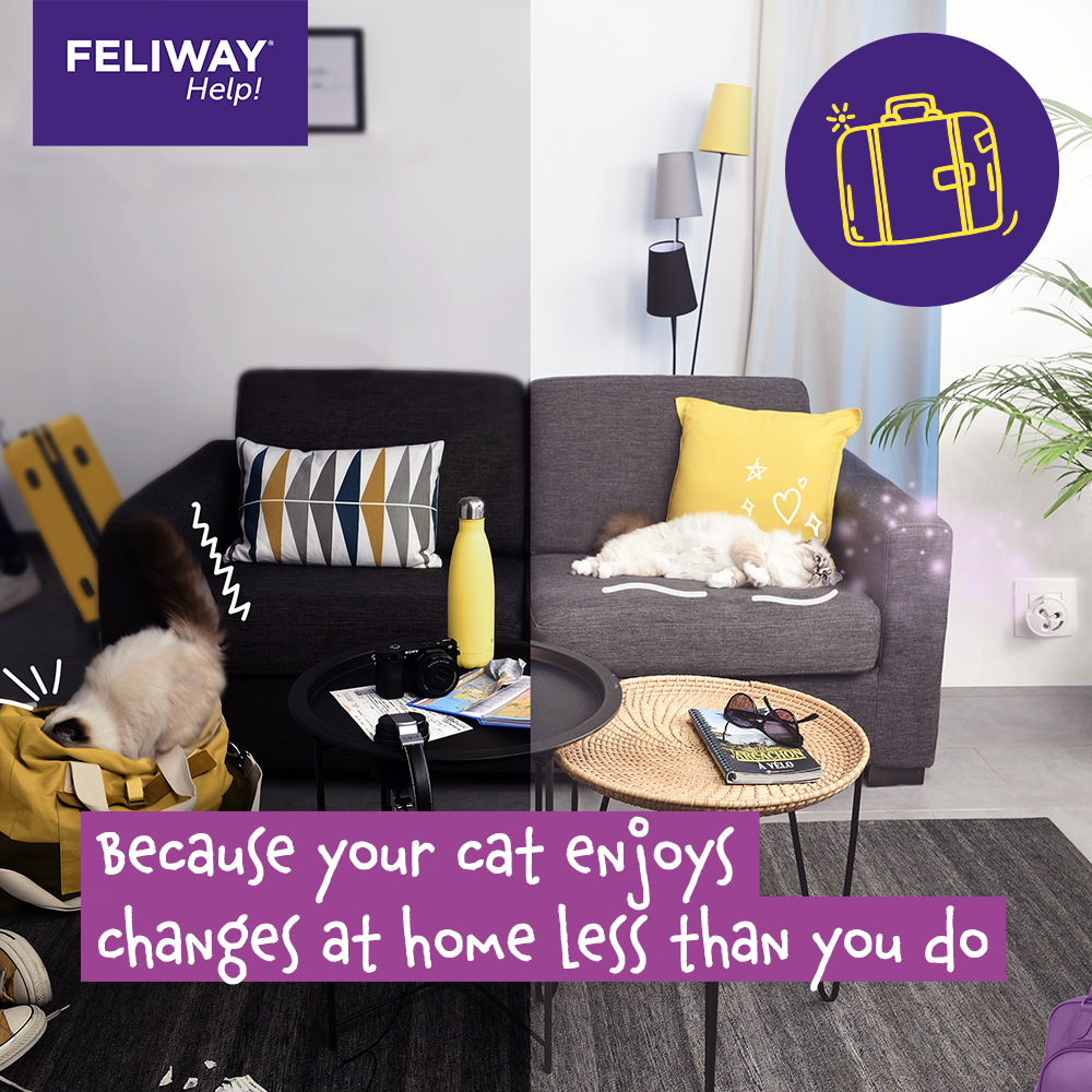 FELIWAY Help Diffuser & Refill Starter Kit - Cat Calming Plug In Stress ...