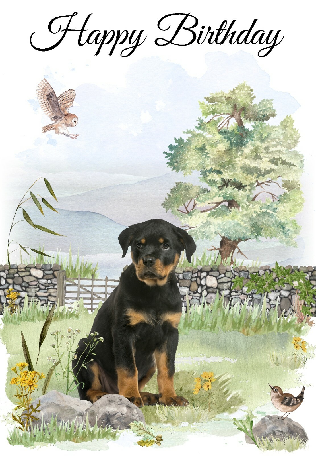 Rottweiler Dog (4"x 6") Birthday Card with blank inside - by Starprint ...