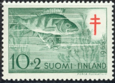 Finland #Mi0443 MNH 1955 European Perch Perca fluviatilis [B129] | eBay