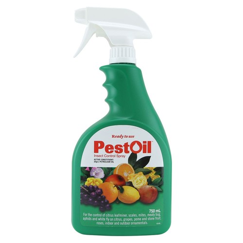 Yates Plant PEST OIL Spray 750ml citrus leaf miner, mites, mealy bugs ...