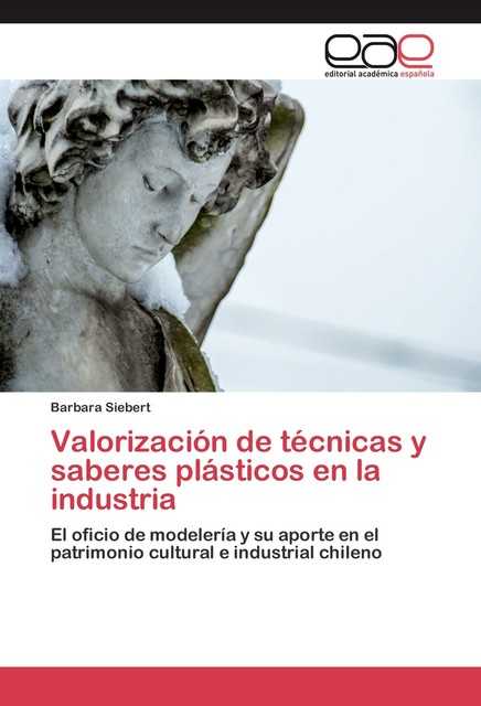 Valorización de Técnicas Y Saberes Plásticos En la Industria von ...