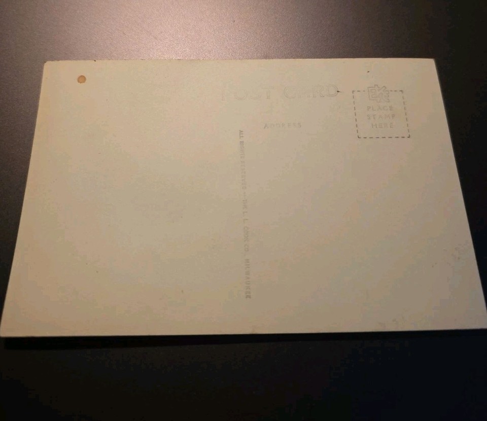 RPPC Vintage The Gamblers Squirrels Poker Playing Taxidermy Playing ...