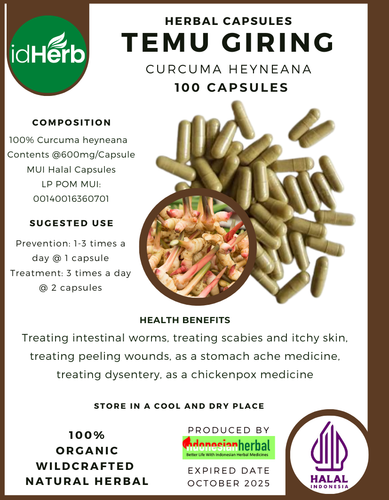 CAPSULE Curcuma Heyneana Temu Giring Natural Premium Organic Herbal | eBay