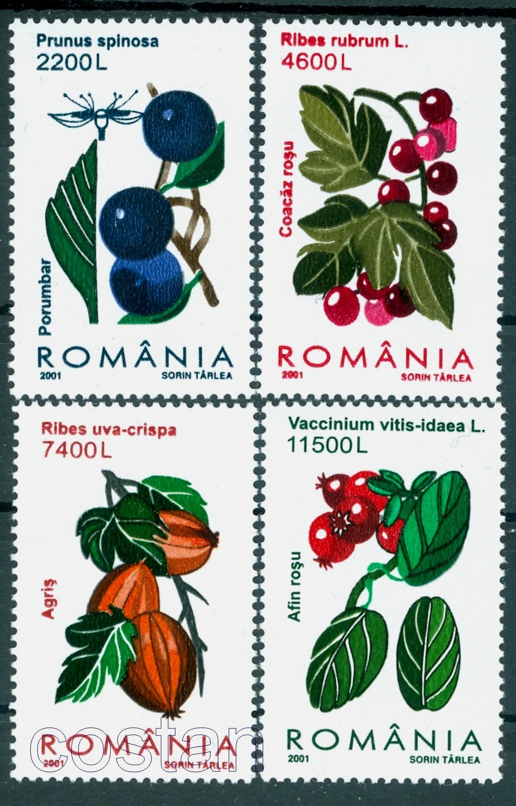 2001 Fruits,Forest Fruits,Frutti,Berry,Wald Früchte,Foret,Romania,Mi ...