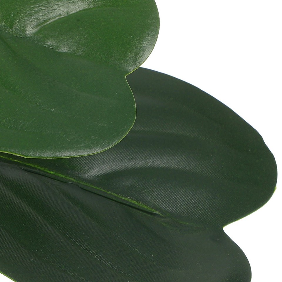 Betta Fish Hammock Plant Leaf Pad Fish Spawning Ground Breeding Resting ...