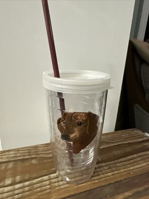 Tervis Tumbler 16 oz with Clear Lid And Brown Straw Dog Dachshund ...
