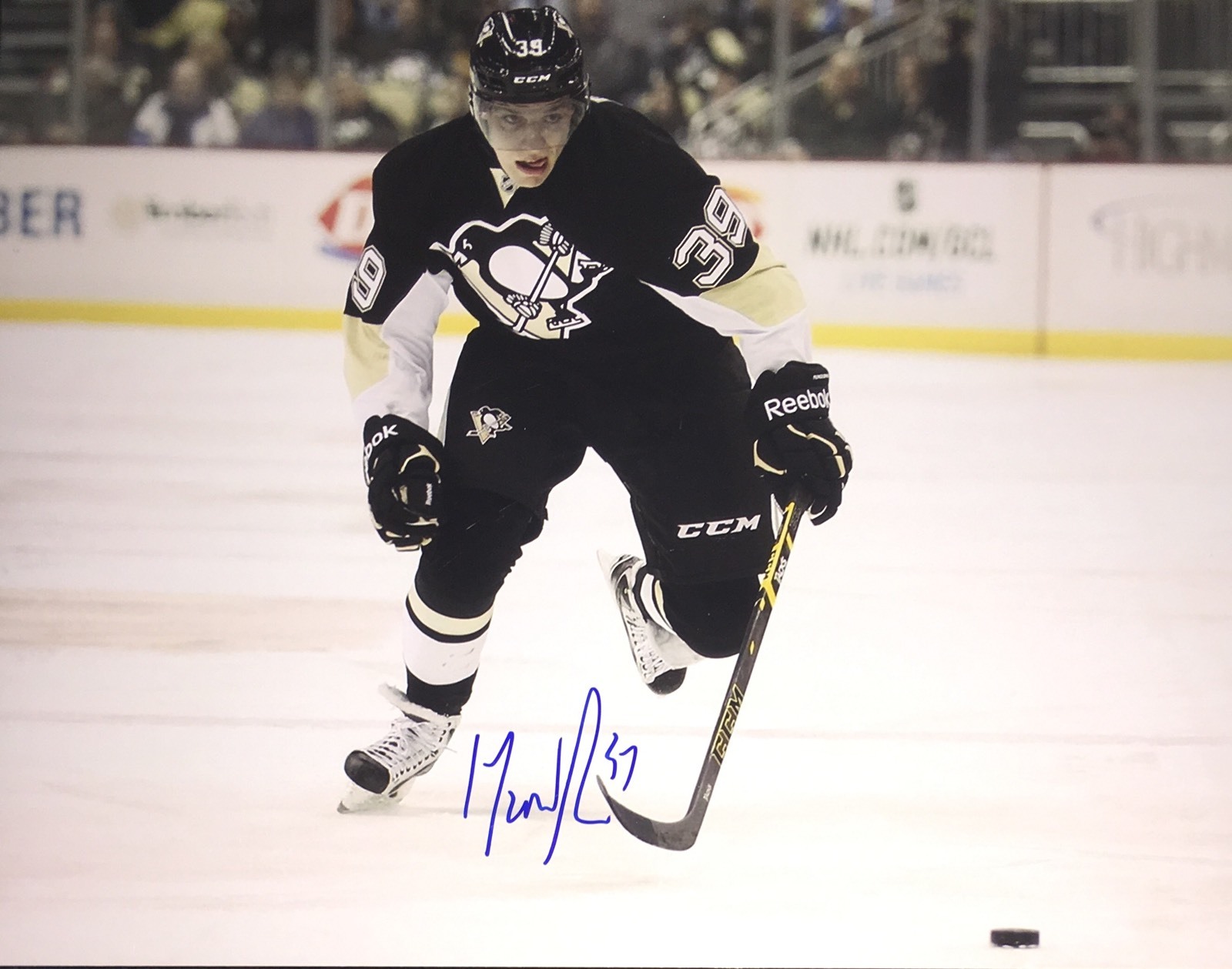 David Perron AUTOGRAPH Photo Pittsburgh Penguins Signed 11x14 St Louis ...