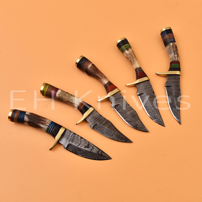 Lot of 10 Handmade Damascus Steel Hunting Sharp Stag/Antler Knives with ...