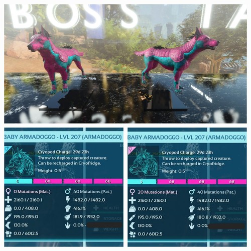 ARK ASCENDED PVE OFFICIAL PAIR BABY ARMADOGGO COTTON CANDY H. STATUS PC ...