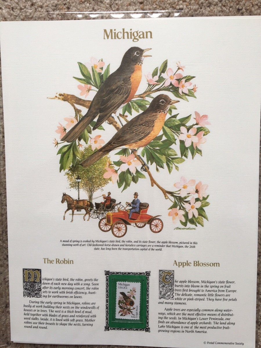 Michigan State Bird And Flower Michigan State Print. Illustration.