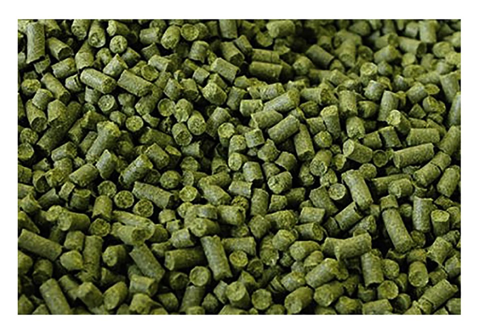 Cryo Hops® LupuLN2® Pellets Citra 1oz Beer Brewing Hop Pellets | eBay
