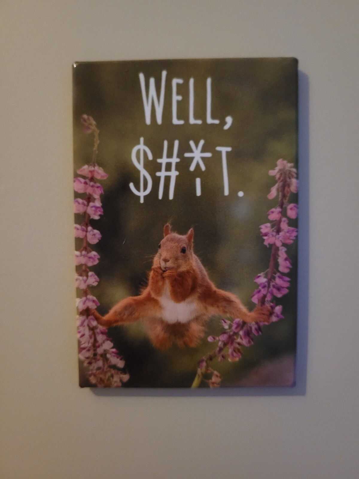 Well S#*t Squirrel Fridge Magnet Whimsical Fun dorm work office | eBay
