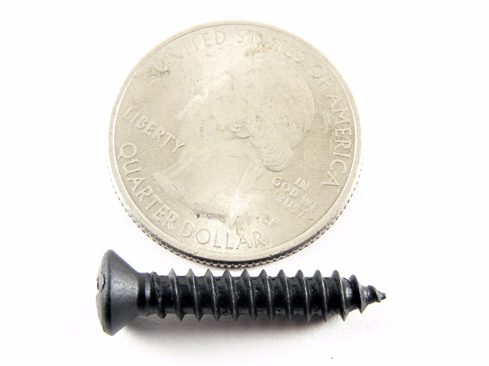 Ford Truck Interior Trim Screws- #10 x 1" Long- #8 Oval Head- 25 screws ...