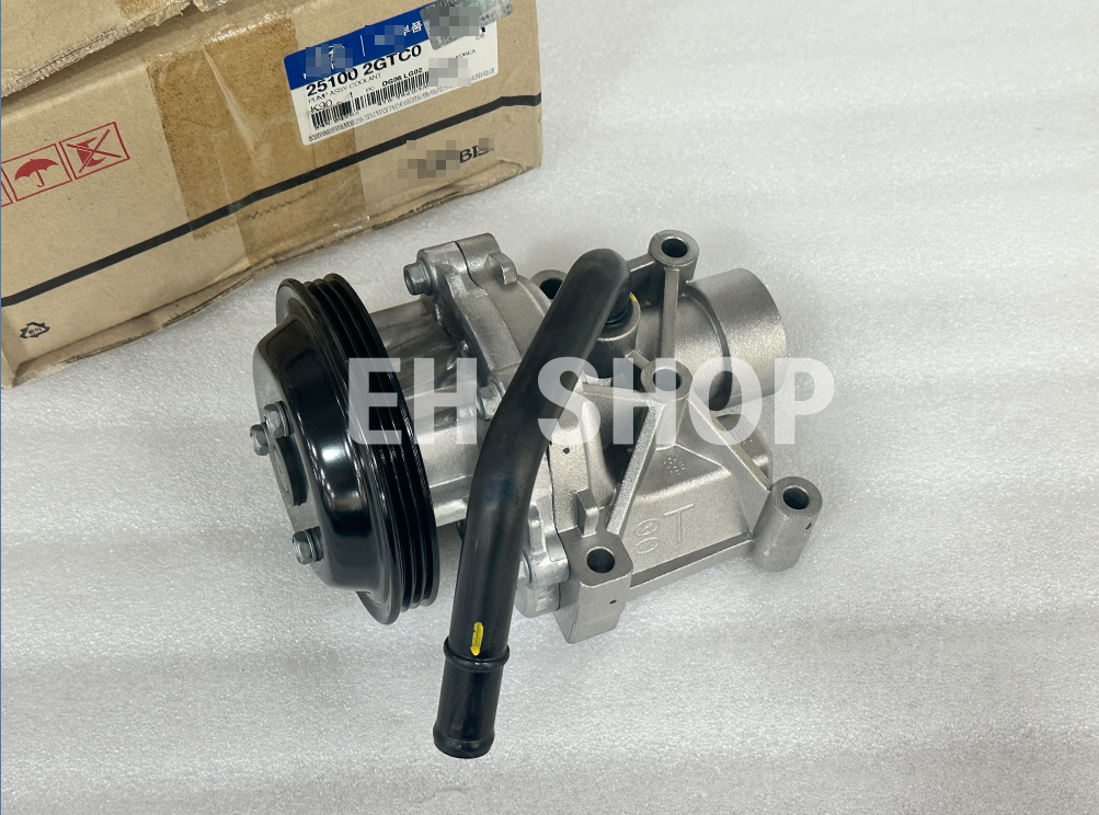 Genuine PUMP ASSY-COOLANT 251002GTC0 25100-2GTC0 for Hyundai Tucson Kia ...