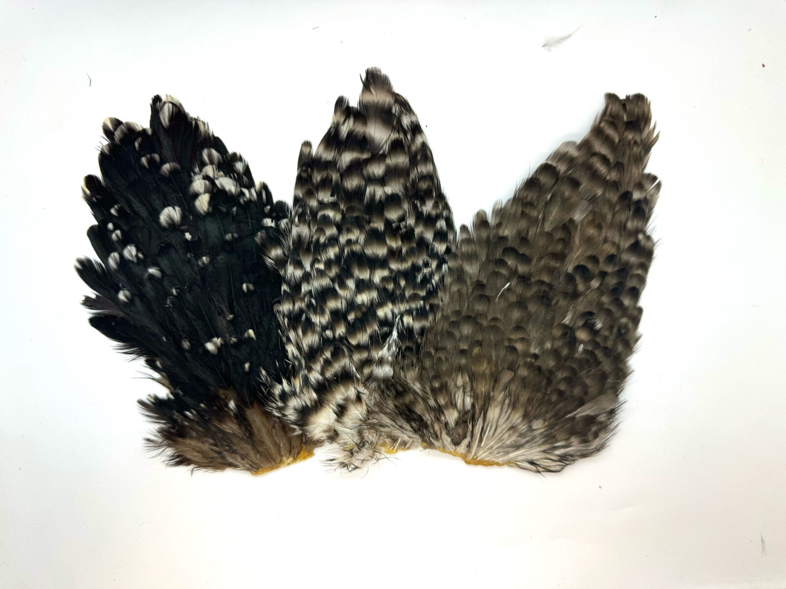 A Grade 2x hen saddles,soft hackles,fly tying hen saddles,new stock ...