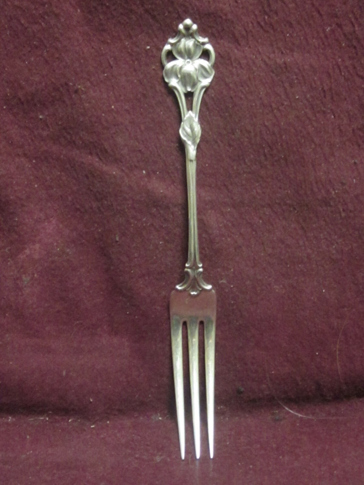 Strawberry Fork