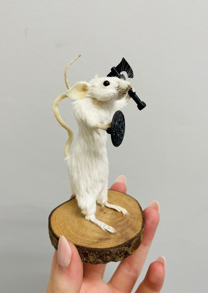 Taxidermy Mouse With Axe & Shield 🛡️ See Description | eBay UK