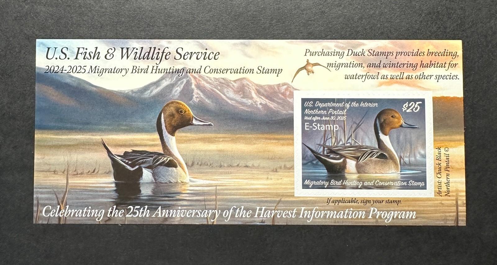 #RW91A 2024 - 2025 - US Federal Duck Stamp **CHUCK BLACK** Post Office ...