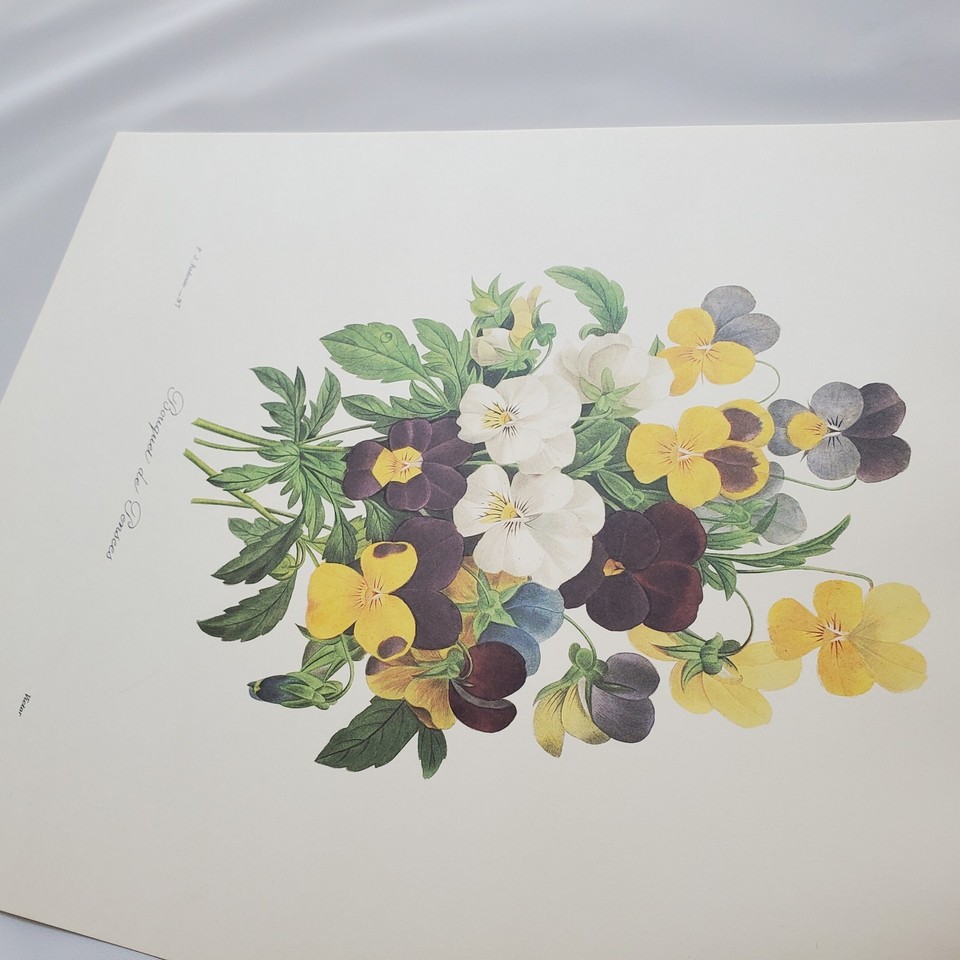 Pierre-Joseph Redoute PJ Print Botanical Flower Bouquet De Pensées ...