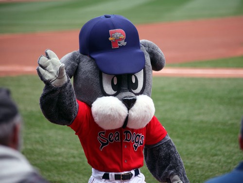 Portland Sea Dogs Mascot Slugger The Sea Dog Bobblehead SGA 8/14/18 ...