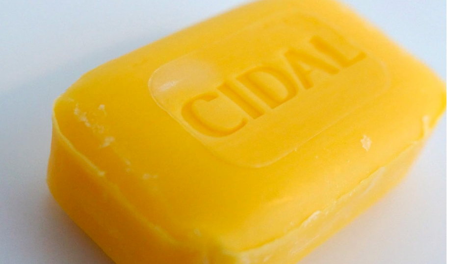 Cidal Savon Antibactérien Avec Pamplemousse Extrait (16 X 100g Barres ...