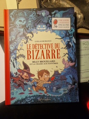 Le détective du bizarre- billy brouillard la chasse aux fantômes - 2021 ...
