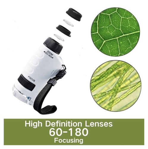 Upgraded 2025 Little Marvin’s Miniscope, Portable Microscope, LED | eBay