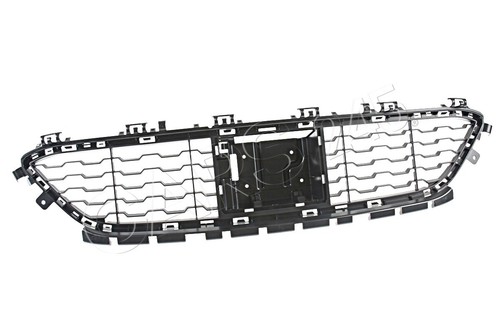 Genuine BMW F20N F21N Front Bumper Center Lower M ACC Grille OEM ...