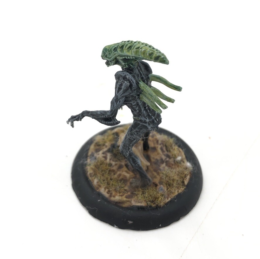 Alien VS Predator AVP Wargame Prodos Games Xenomorph Painted Miniature ...