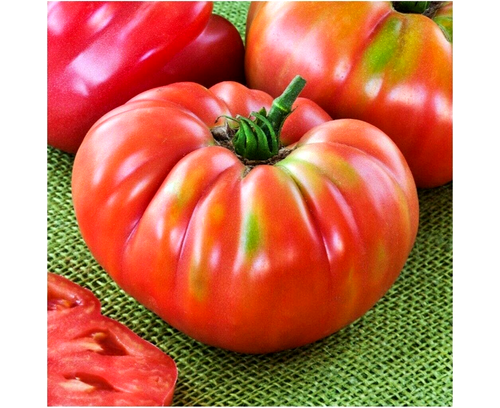 10 X DWARF RED RUSSIAN TOMATO SEEDS,HARDY GOURMET HEIRLOOM, GROW YOUR ...