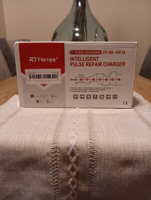 RJ TIANYE Intelligent Pulse Repair Charger Red 12V/24V RJ-C121001A | eBay