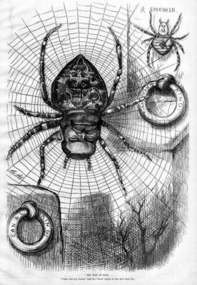 SPIDER WEB OF RUIN TAMMANY RING BOSS KELLY SPIDER NEW YORK COBWEBS ...