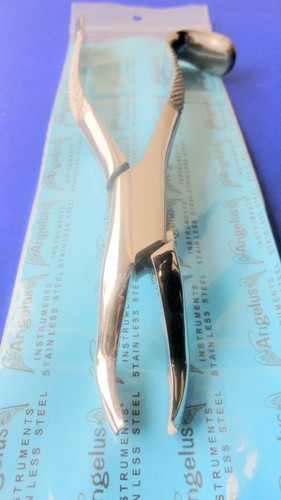 Dental Extracting Forceps No 210H ANGELUS Original | eBay Australia