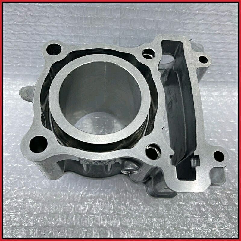 Yamaha YZF R15 V2 - Cylinder Block Kit 150cc [1PA] -DHL EXPRESS | eBay