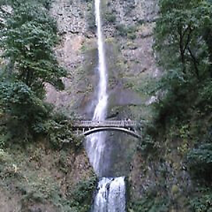 Oregon's Picker | eBay Stores